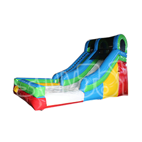 Inflatable Water Slides With Pool Giant Samll For Kids and Adults